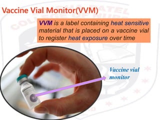 Cold chain And Vaccination | PPSX