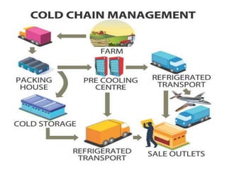 COLD CHAIN Dr Anuj.pptx
