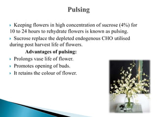 Cold Chain Management in Flowers | PPTX