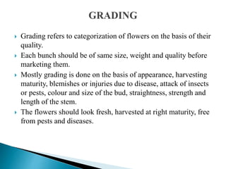Cold Chain Management in Flowers | PPTX