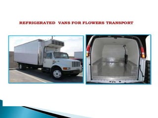 Cold Chain Management in Flowers | PPTX