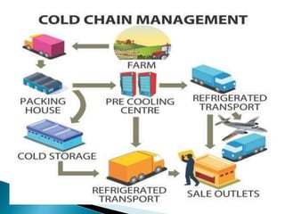 Cold Chain Management in Flowers | PPTX