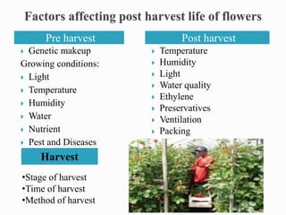 Cold Chain Management in Flowers | PPTX