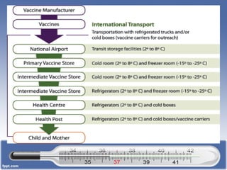 Cold chain system for vaccines | PPT