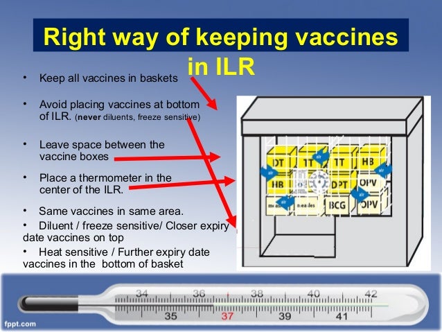 Cold chain system for vaccines
