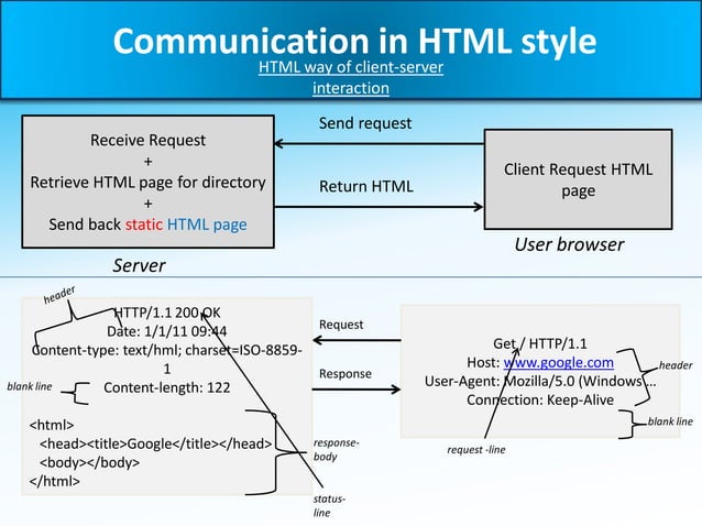 Language Basics | Coldfusion primer | Chap-1 | PPT