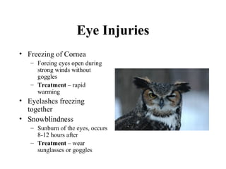 Cold Injuries - Donald Pelto, DPM | PPT