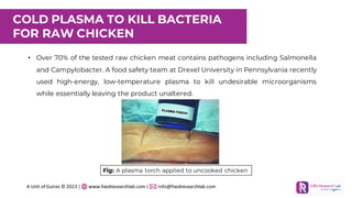 food product development ideas | PDF