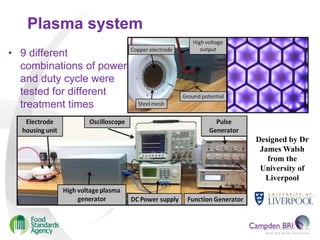 Cold plasma Applications.pdf