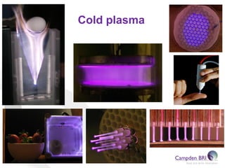 Cold plasma Applications.pdf