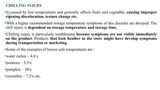 COLD STORAGE.pptx | Gardening | Home & Garden