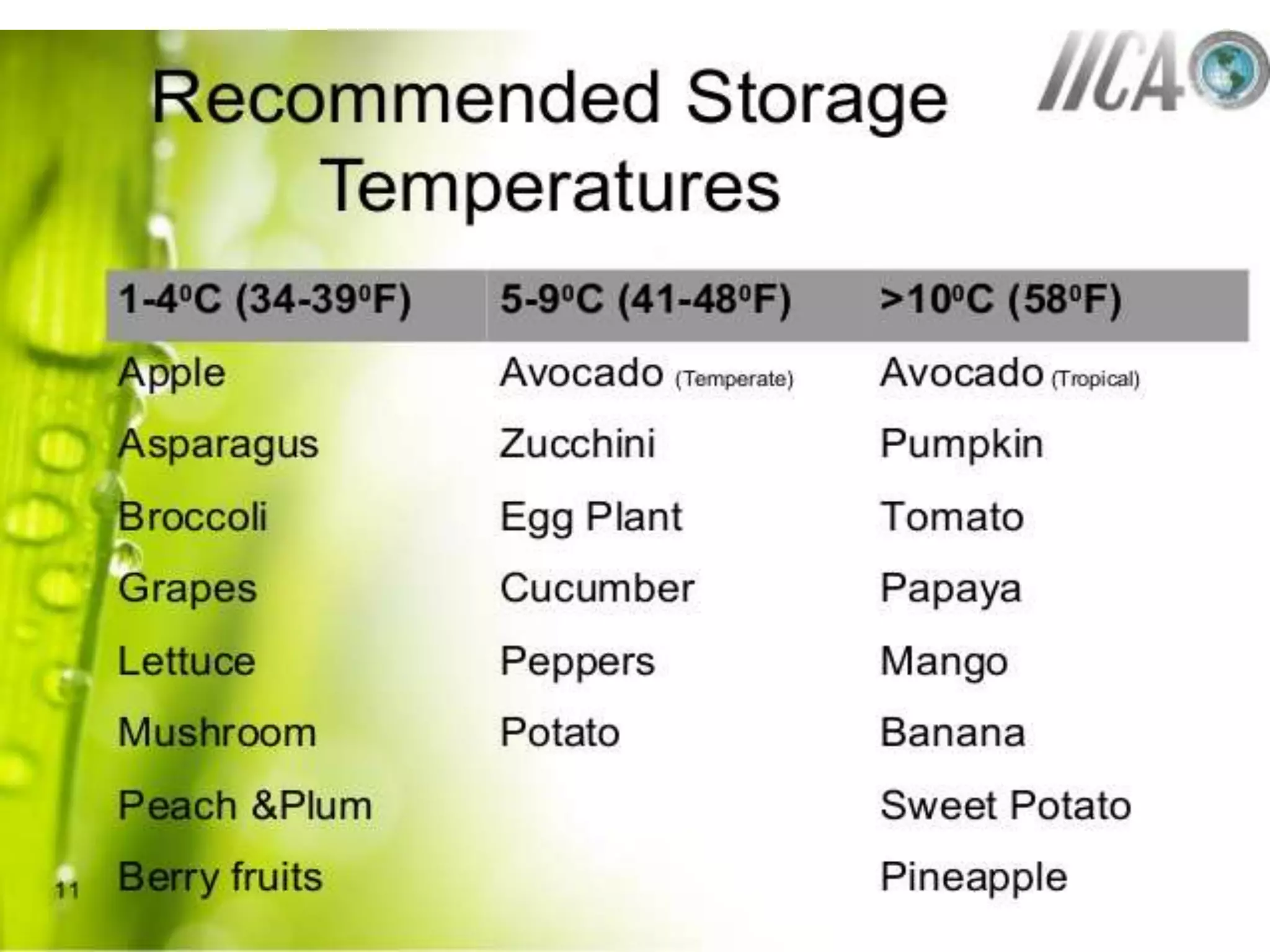 COLD STORAHE AND COLD SUPPLY CHAIN MANAGEMENT OF HORTICULTURAL CROPS | PPTX