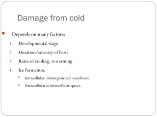 Cold stress | PPT