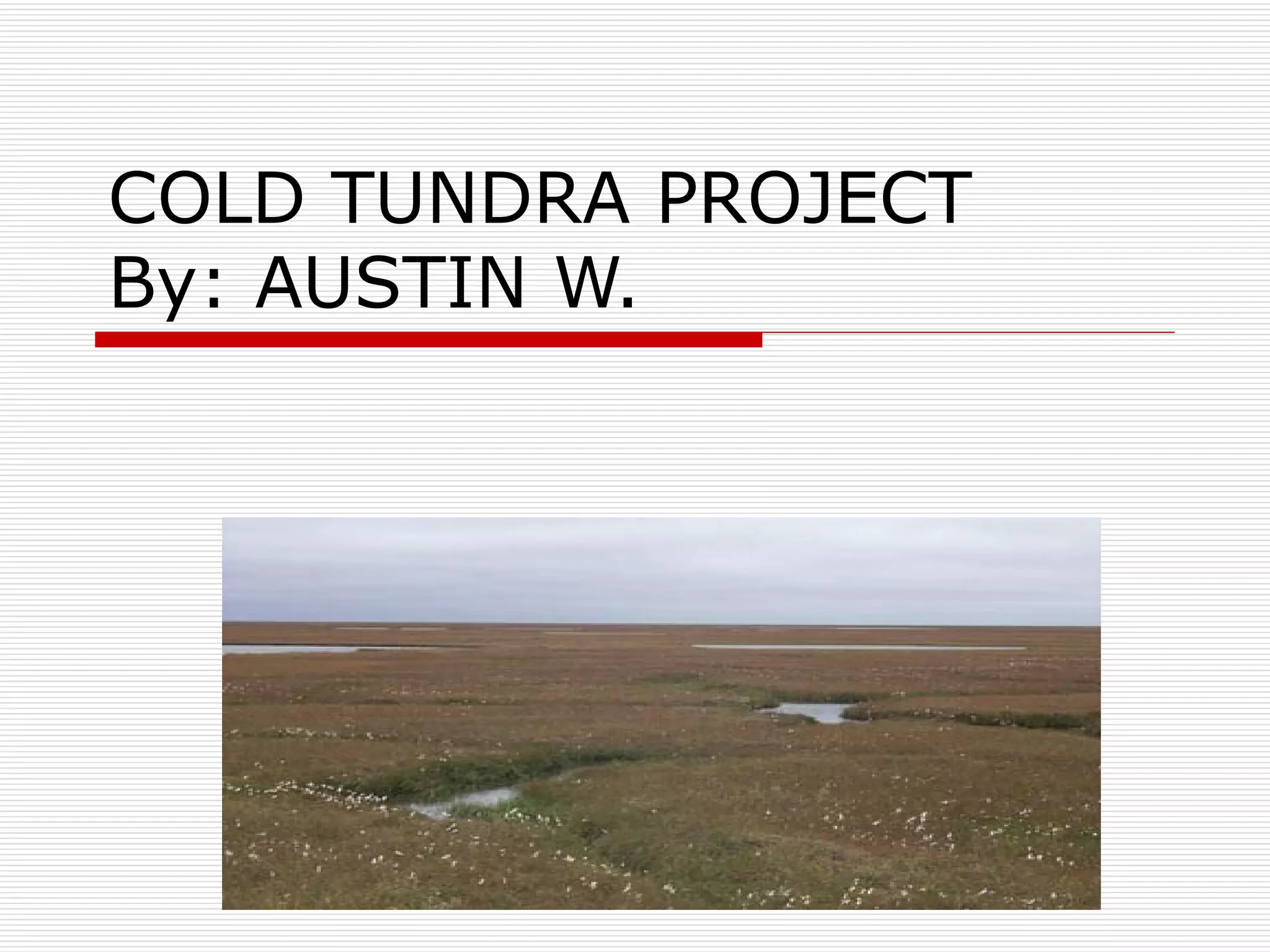 Cold Tundra Project Watts | PPT