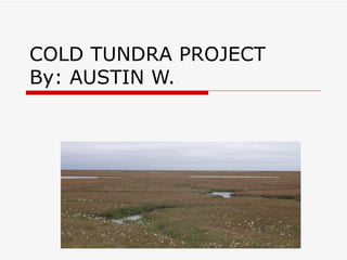 Cold Tundra Project Watts | PPT