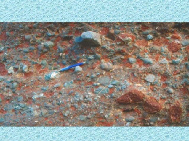 cold_Water_Endemic_Fish_of_NE_India_ppt.ppt