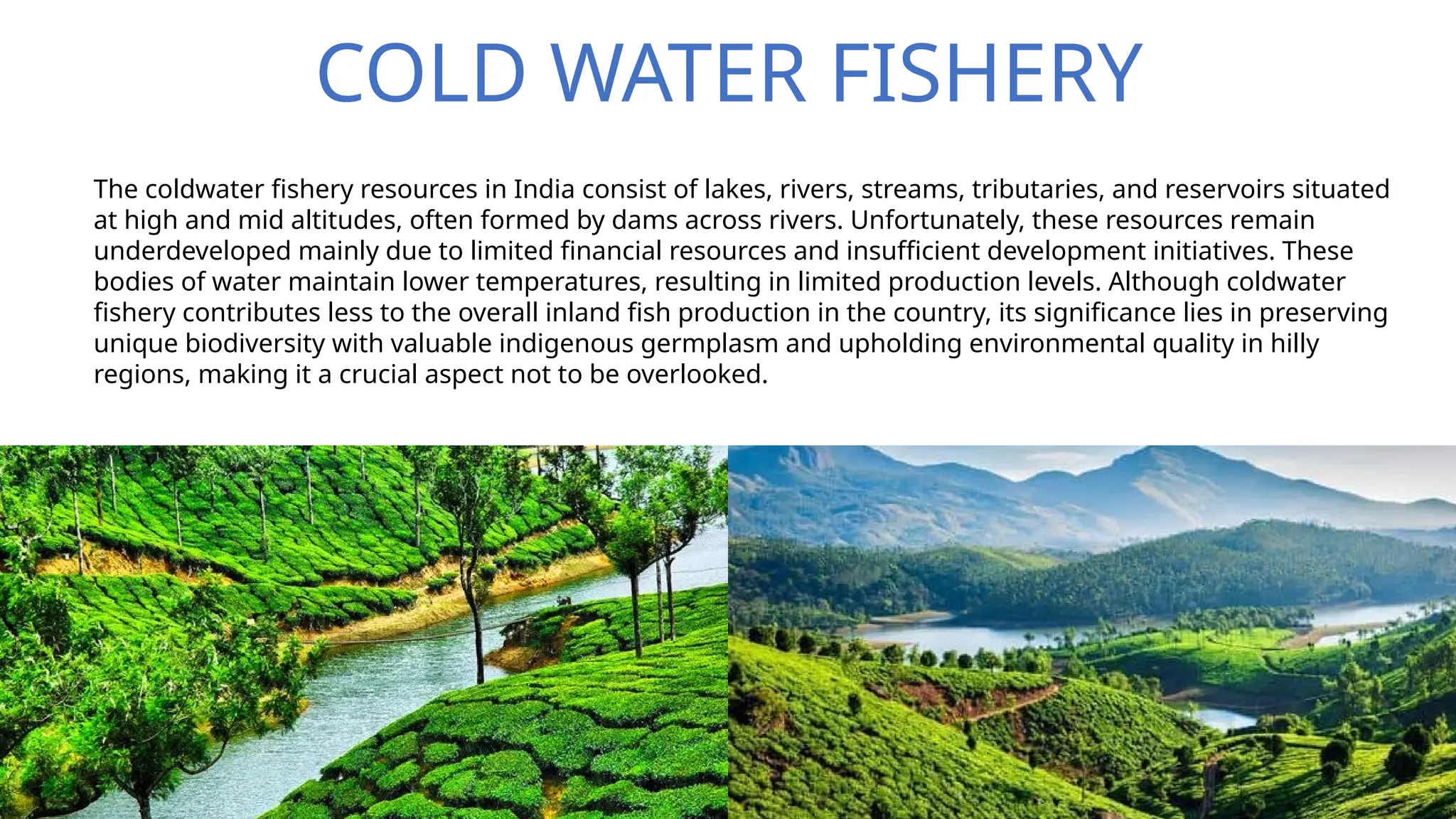 cold water fisheries in kerala ecology and significance. | PPT