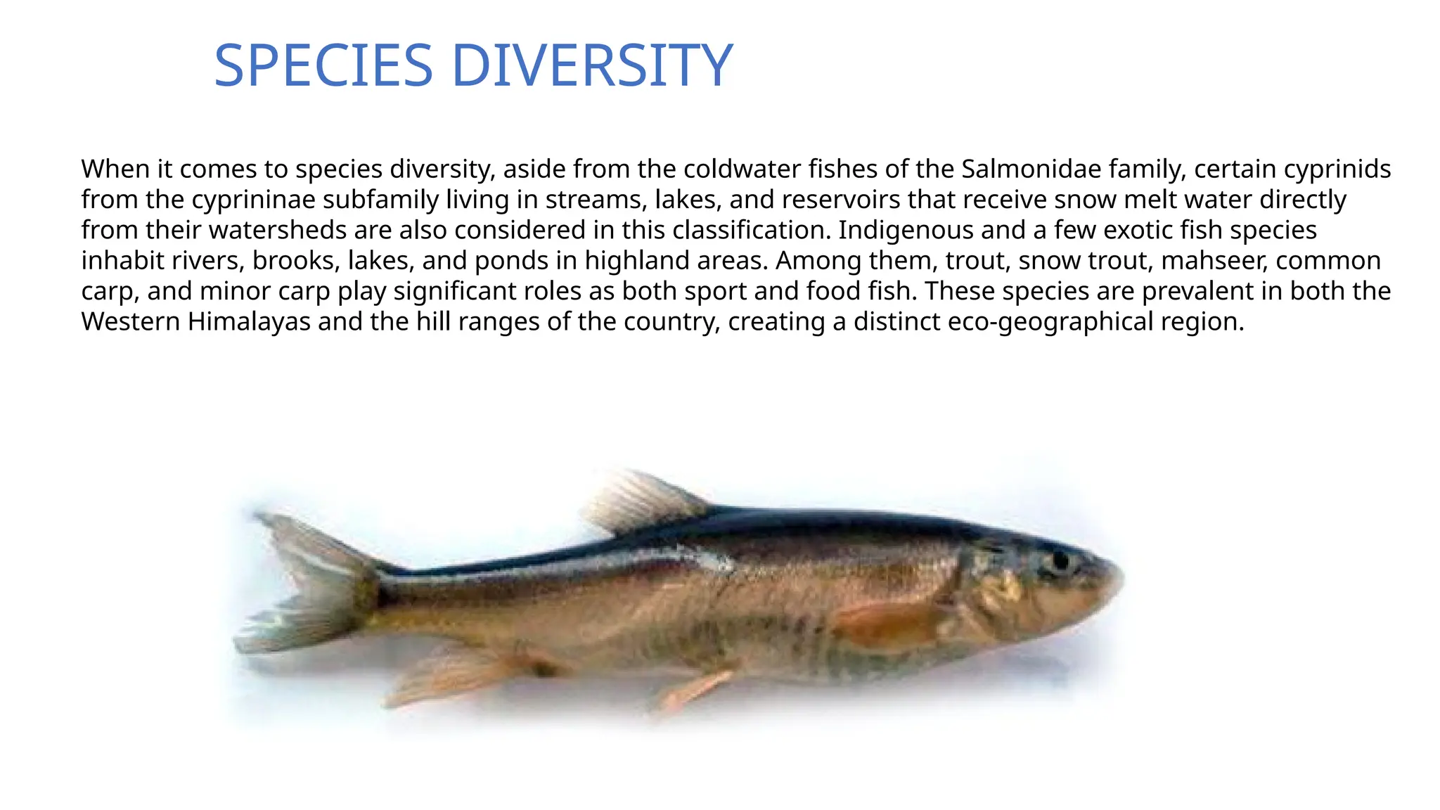 cold water fisheries in kerala ecology and significance. | PPT