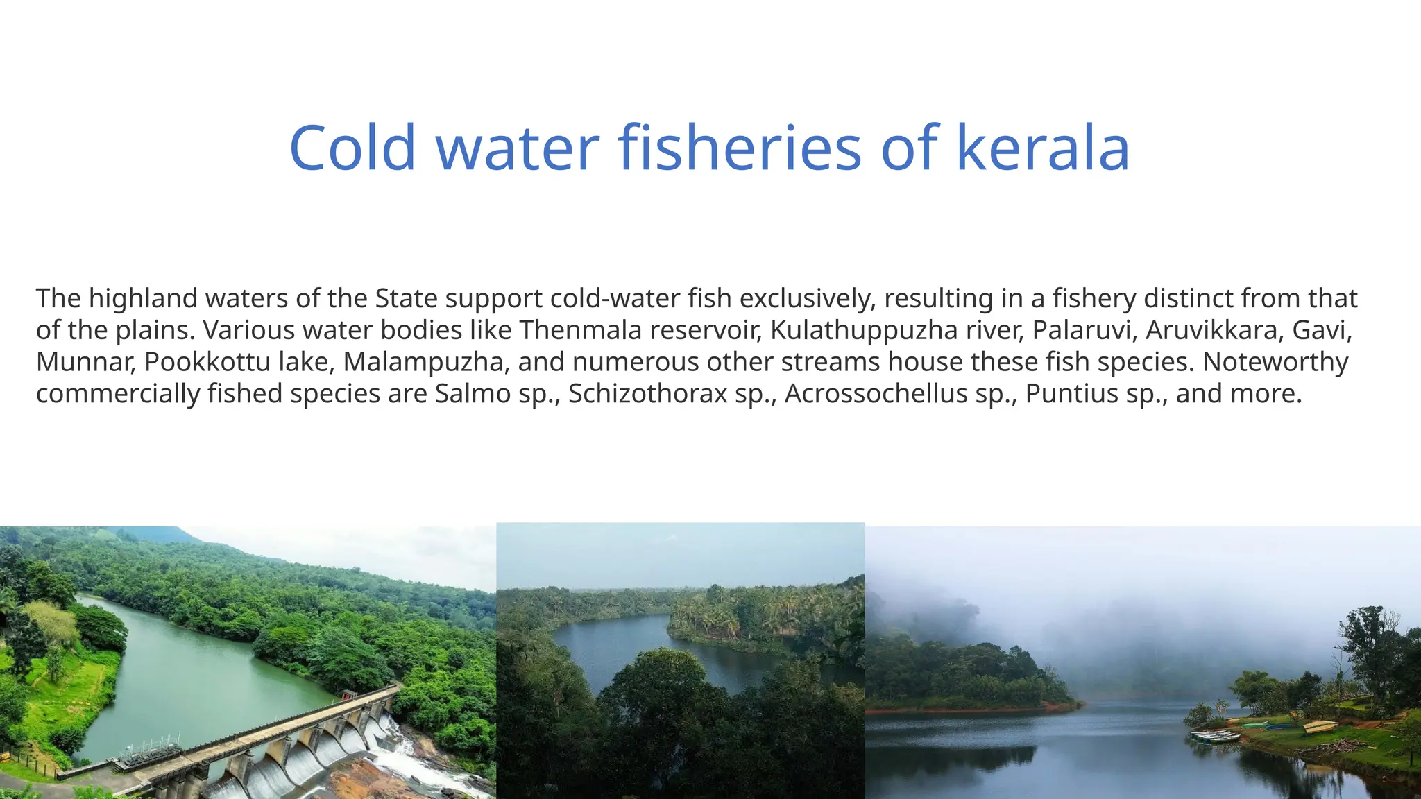 cold water fisheries in kerala ecology and significance. | PPT