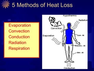 Cold weathe | PPT