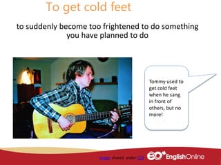 Cold weather idioms | PPT