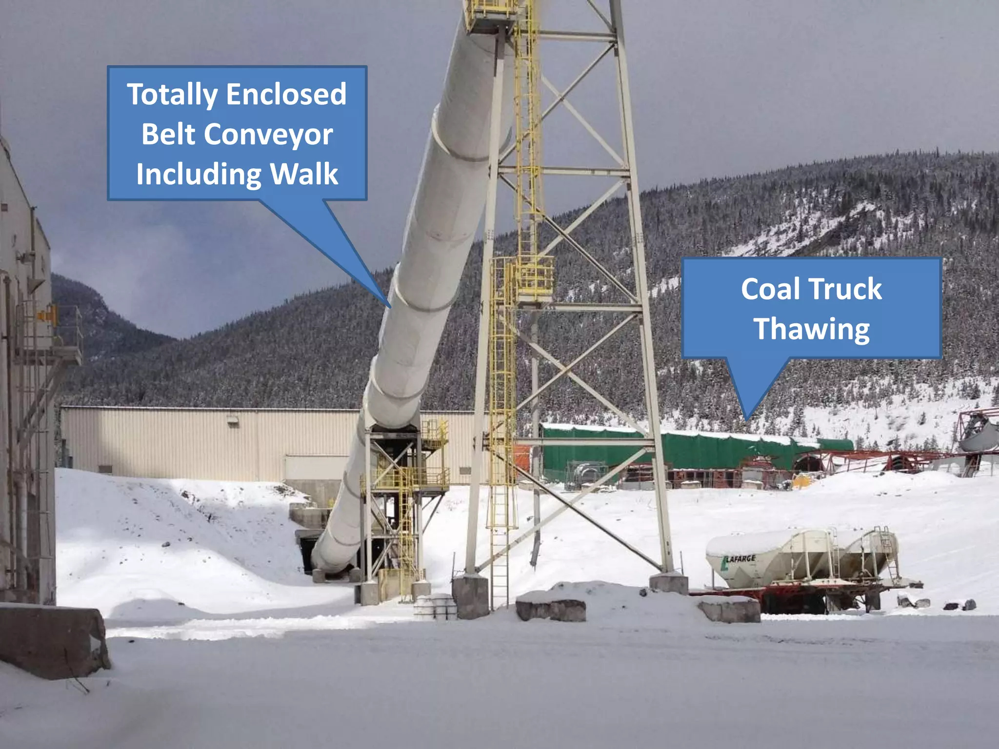 Cold weather plant.pptx