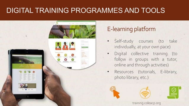 COLEAP_NExT KENYA AVOCADO CONGRESS.pptx.ppt