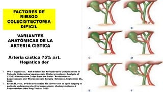 Variaciones De La Arteria Cística
