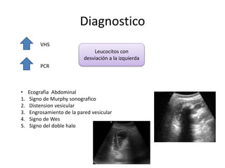 COLECISTITIS AGUDA ABDOMEN AGUDO PATOLOGIA BILIAR | PPTX