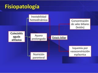 Colecistitis aguda | PDF
