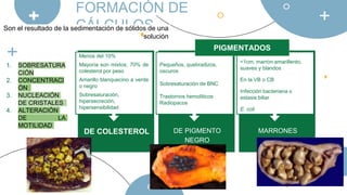 COLECISTITIS AGUDA Y PATOLOGÍA BILIAR-1.pptx