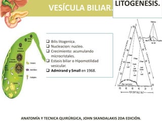 colecistitis ultima.pptx