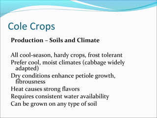 PRESENTATION ON Cole crops | PPT
