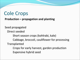 PRESENTATION ON Cole crops | PPT