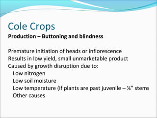 PRESENTATION ON Cole crops | PPT
