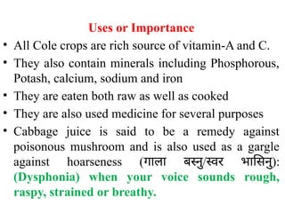 Cultivation Practice of Cole crops (Cauliflower, Cabbage and Broccoli).pptx