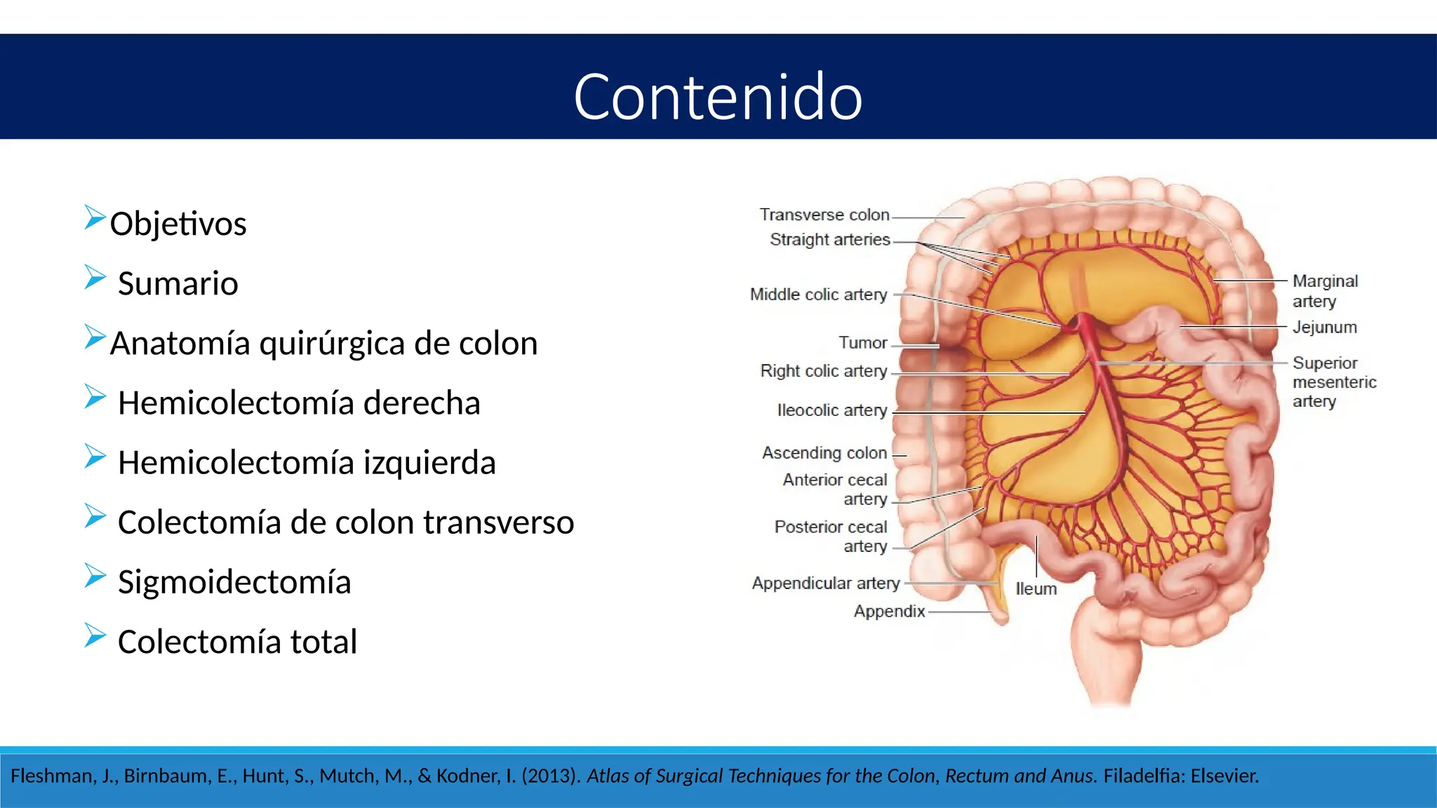 Técnicas quirúrgicas específicas en cirugía de Colon (Colectomías).pptx