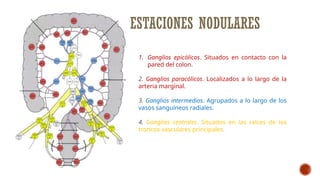 COLECTOMIA IZQUIERDA: Guía y manejo quirurgico | PPTX