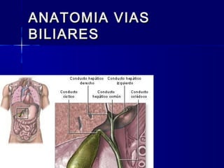 Colelitiasis dr bayohan | PPT