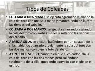 Coleo | PPTX
