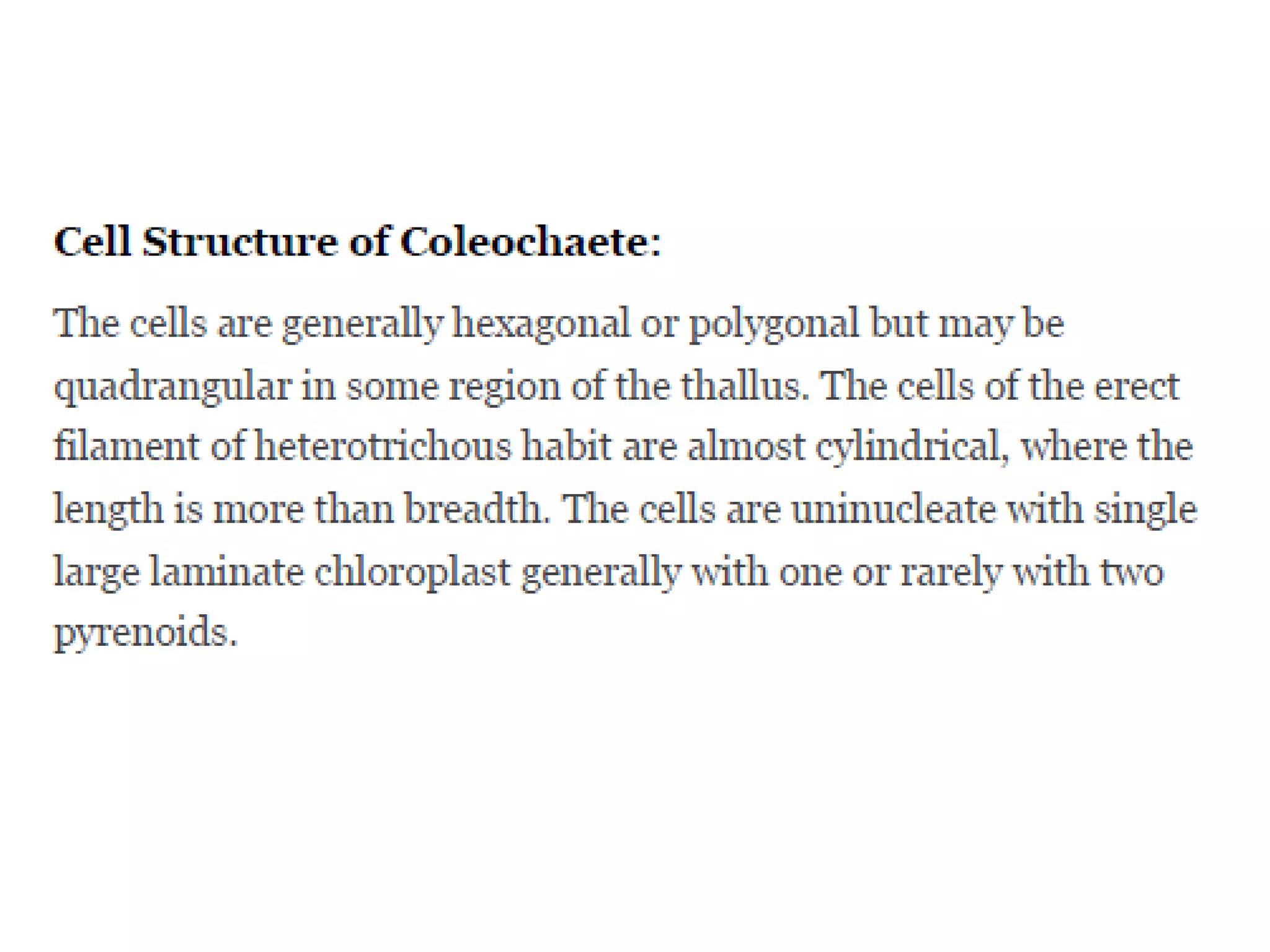 coleochaetea.pptx
