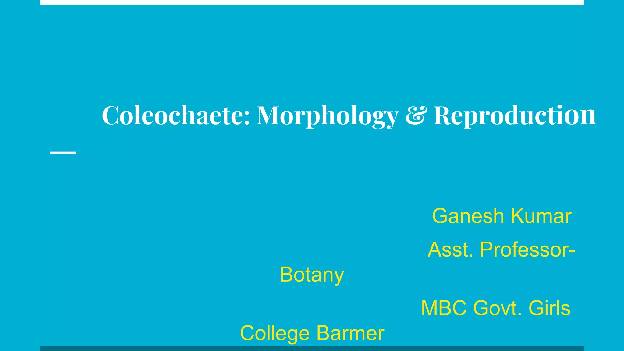 Coleochaete Morphology & Reproduction | PPTX