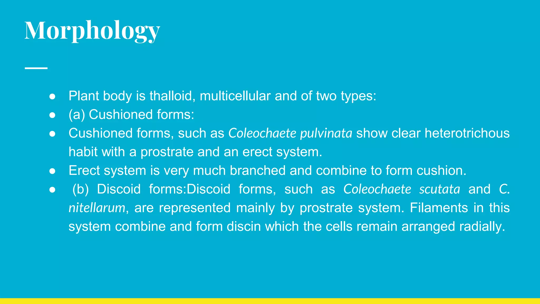 Coleochaete Morphology & Reproduction | PPTX
