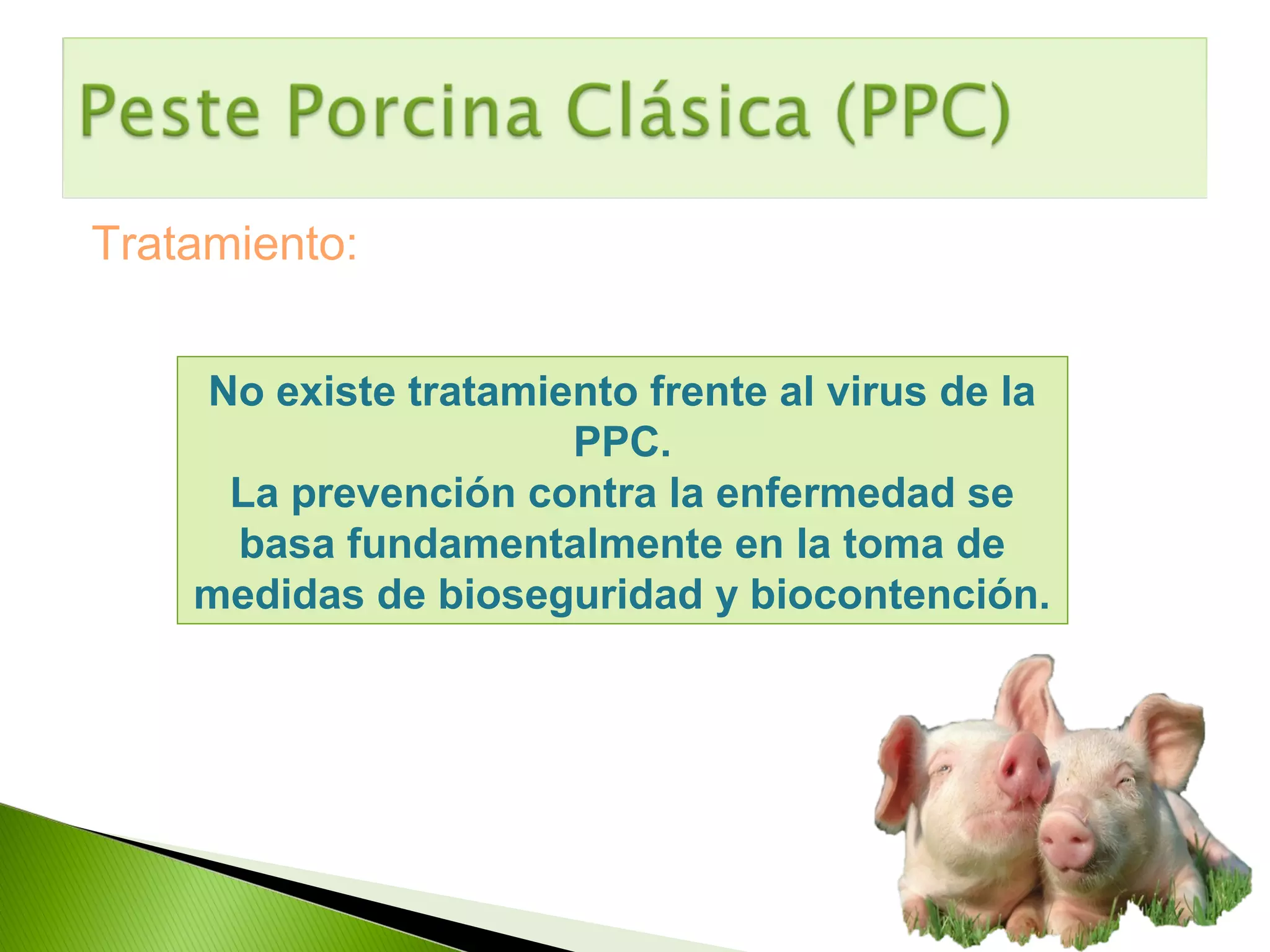 Colera Porcino ó Peste porcina clásica | PPT