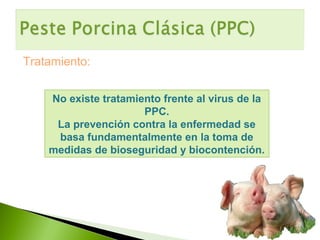 Colera Porcino ó Peste porcina clásica | PPT