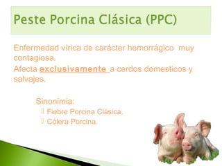 Colera Porcino ó Peste porcina clásica | PPT