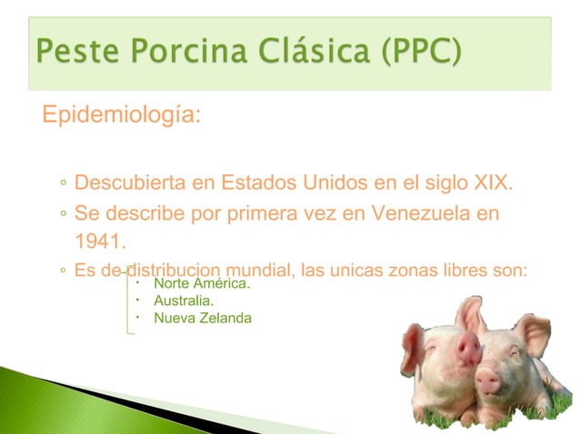 Colera Porcino ó Peste porcina clásica | PPT