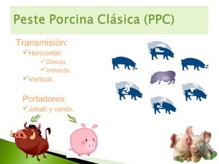 Colera Porcino ó Peste porcina clásica | PPT