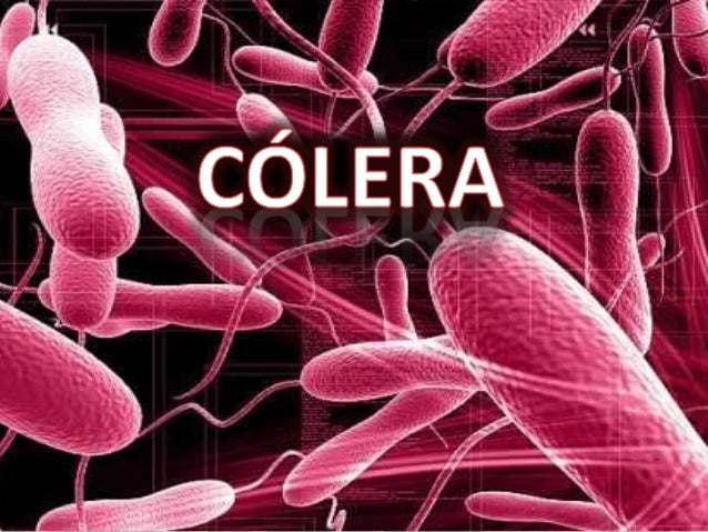 Colera