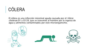 Colera | PPTX